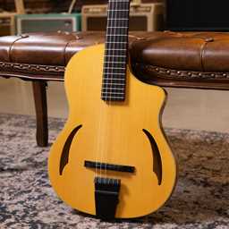 Tapestry Music Ltd. - Nylon String